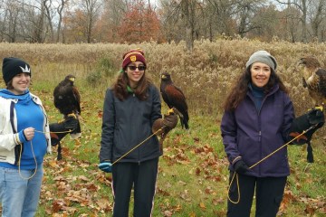 Walk with Hawks | Ohio School of Falconry